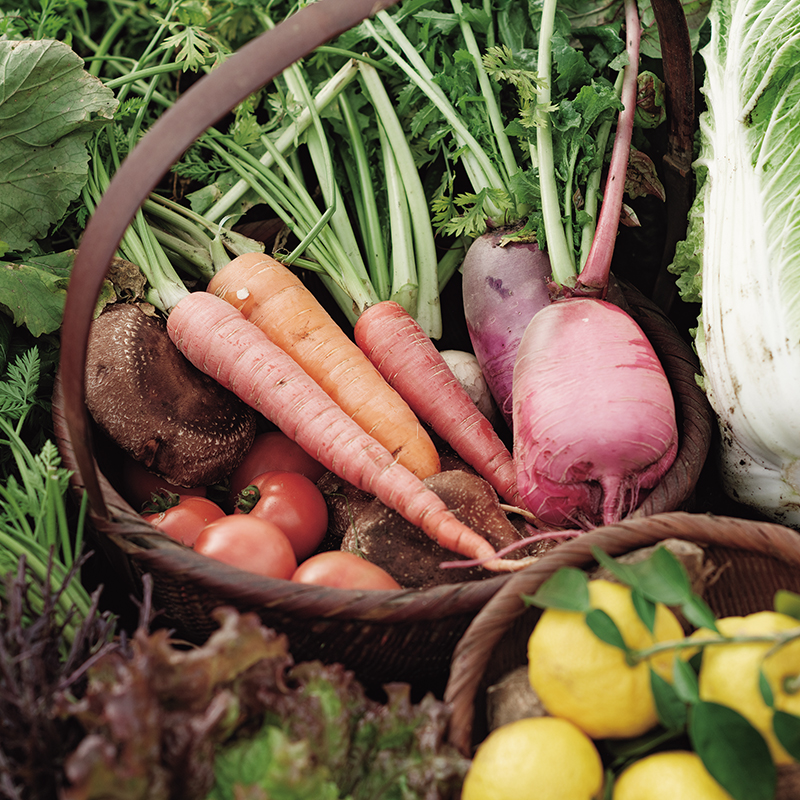 Yamaga City: “Kochi Biyori.” Warming to the core with a rich Japanese ...